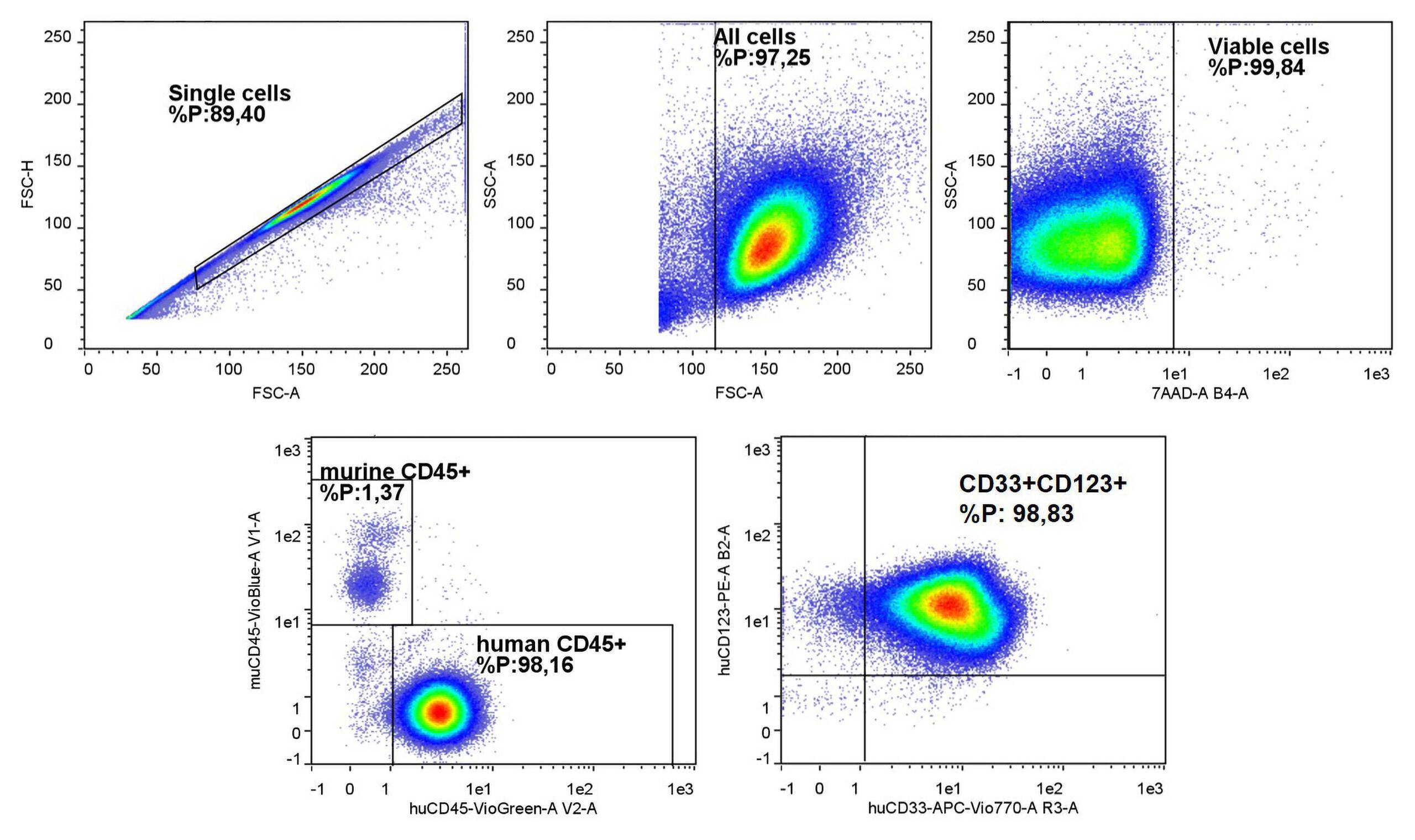 Immuno-oncology models | EPO Berlin Buch GmbH