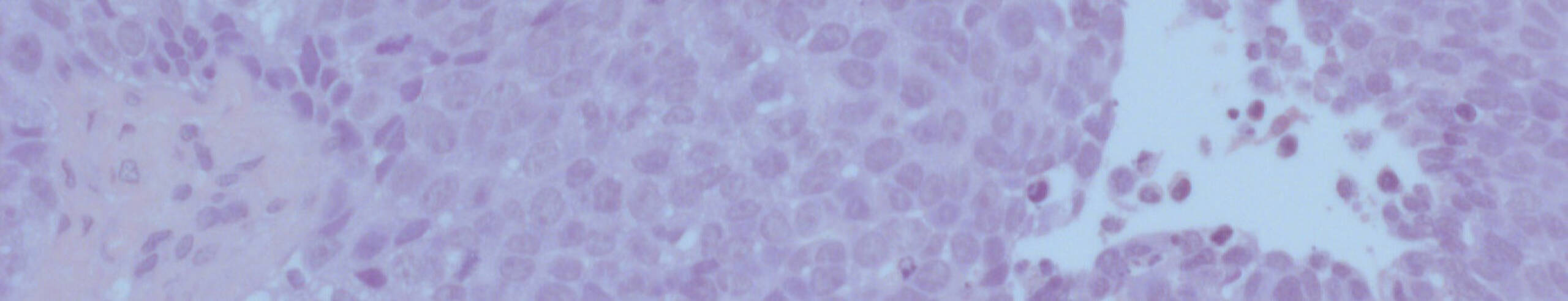 Newsletter July 2025 | EPO Berlin Buch GmbH